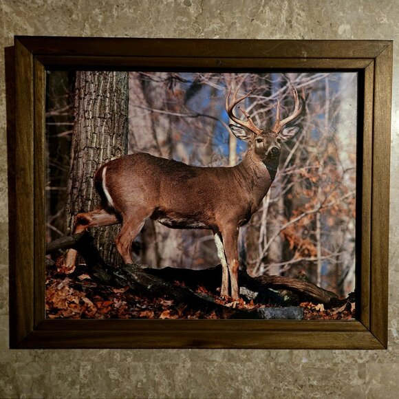 Hand Crafted | Art | Vintage Large Photo Of Deer Buck In 9x23 Rustic ...